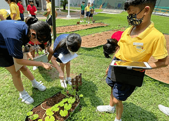 Canberra Primary School in Sembawang - ThreeBestRated.sg