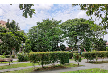 3 Best Public Parks in Geylang - Expert Recommendations
