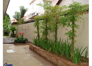 3 Best Landscaping Companies in Clementi - ThreeBestRated