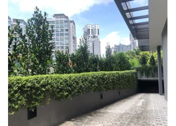3 Best Landscaping Companies in Clementi - ThreeBestRated