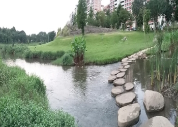 3 Best Public Parks in Bishan - Expert Recommendations