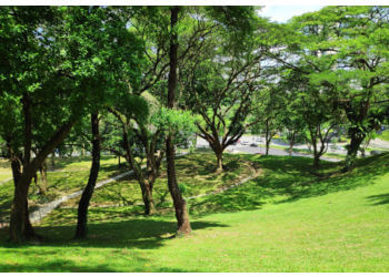 3 Best Public Parks in Bukit Merah - Expert Recommendations