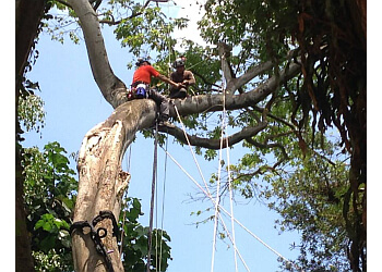 3 Best Landscaping Companies in Serangoon - Expert Recommendations