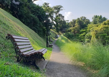 3 Best Public Parks in Bukit Merah - Expert Recommendations