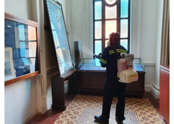 3 Best Pest Control Companies in Outram - Expert Recommendations