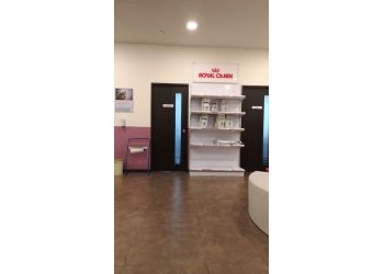 Veterinary Clinics in Jurong West - Expert Recommendations