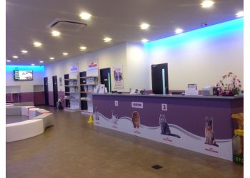 Veterinary Clinics in Jurong West - Expert Recommendations