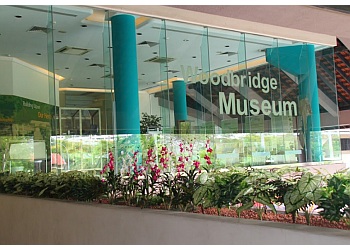 3 Best Tourist Attractions in Hougang - Expert Recommendations